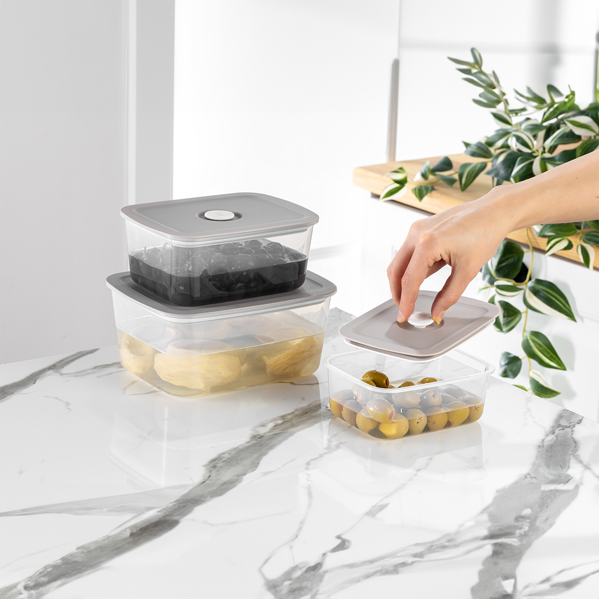 Foly Life | Bnm Plastik